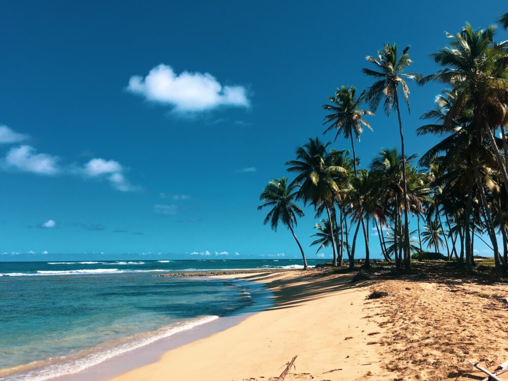 Dominican Republic ID Card: Travel to Dominican Republic stress free ...